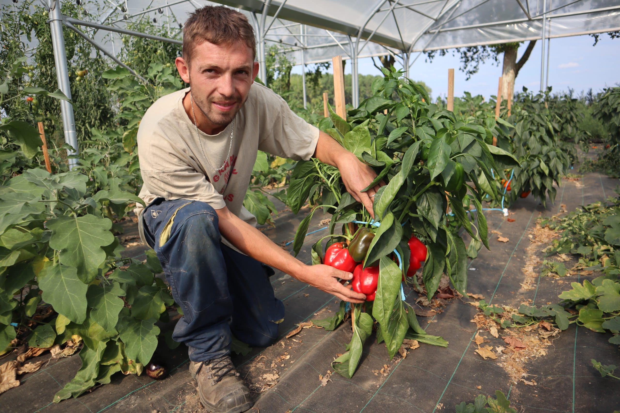 Florian Dievart - Norabio