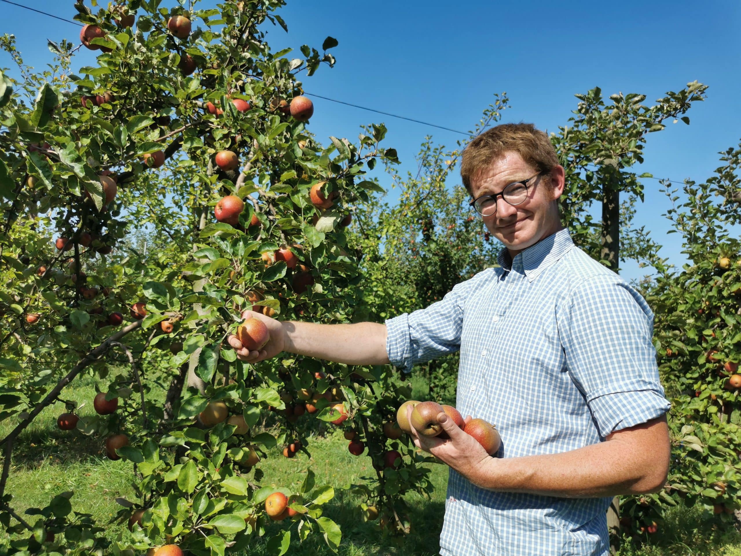 Damien Herreman - Norabio