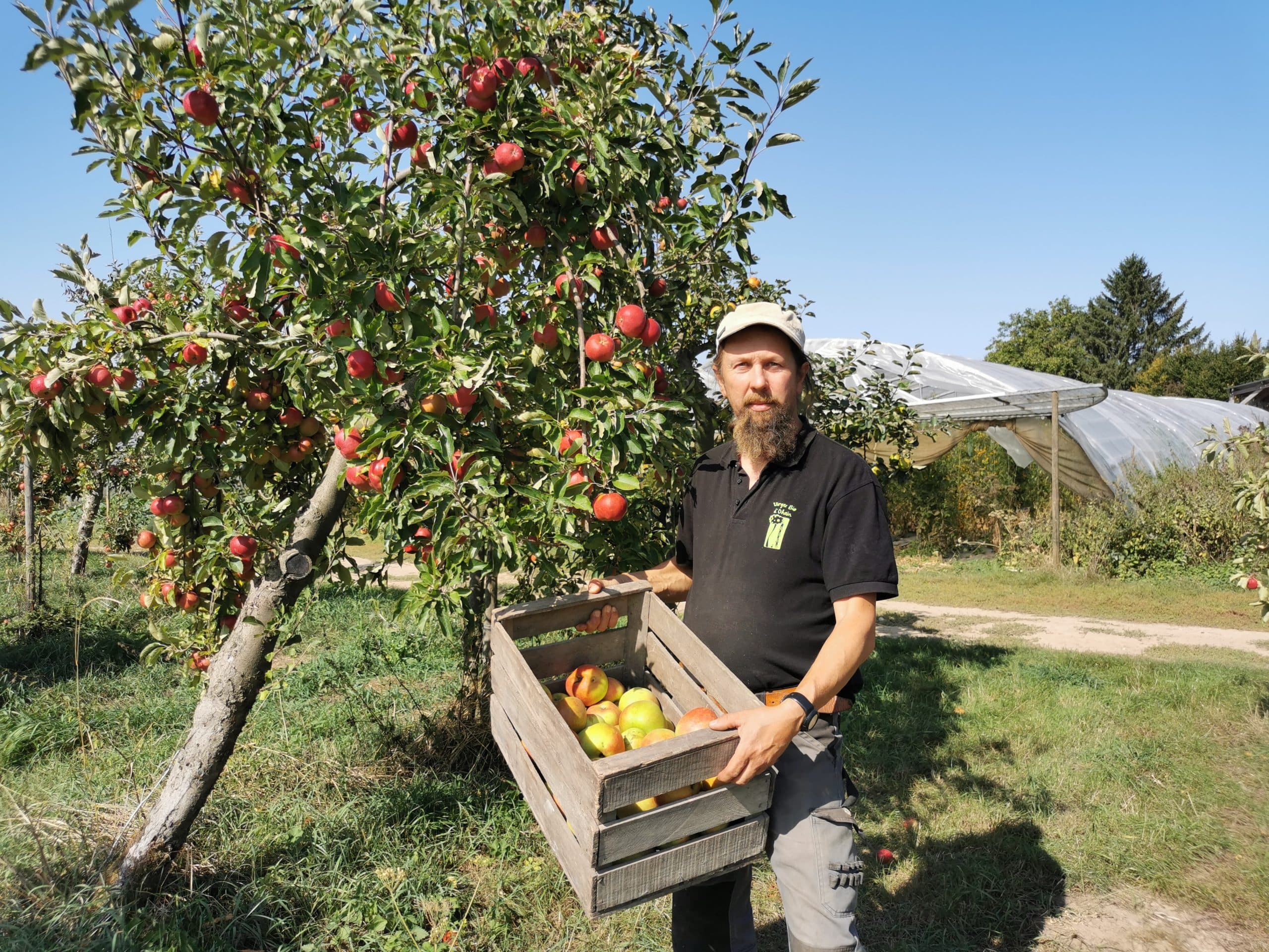 Le Verger Bio d'Ohain - Norabio