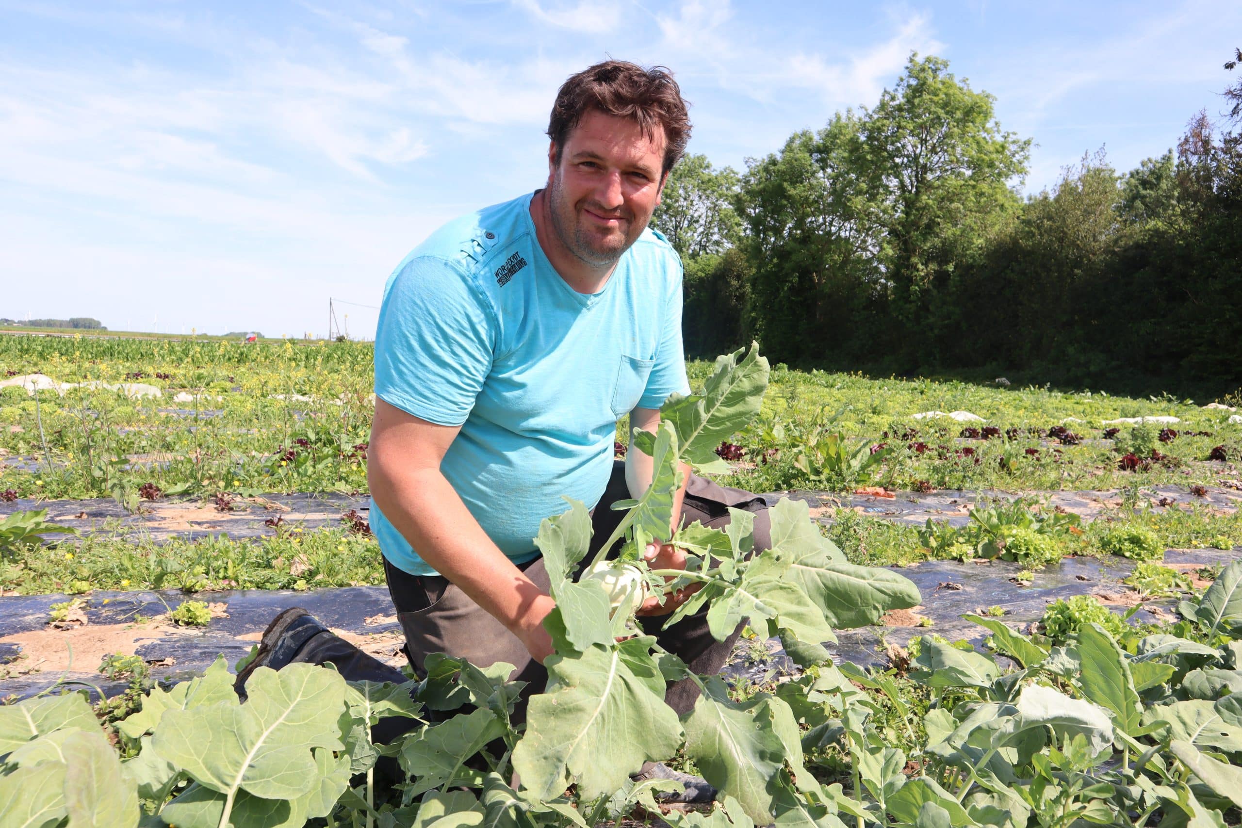 Thomas Lattier - Norabio